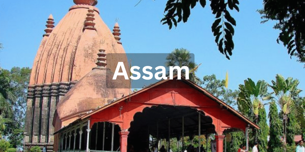 Assam Travel Guide | LetsGoAndTrip